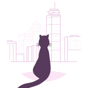 Boston's Forgotten Felines – Find your new BFF with BFF!